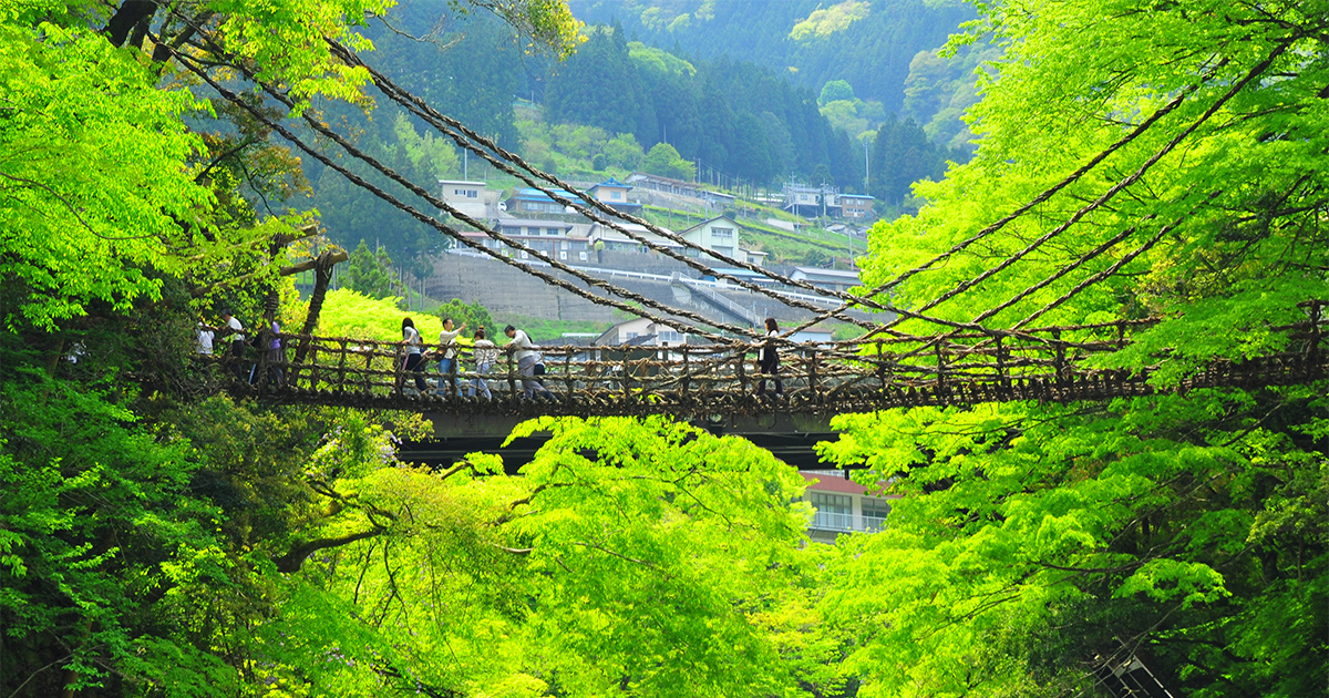 [TOKUSHIMA]Living on the edge of the mountains, deep in nature. How to ...